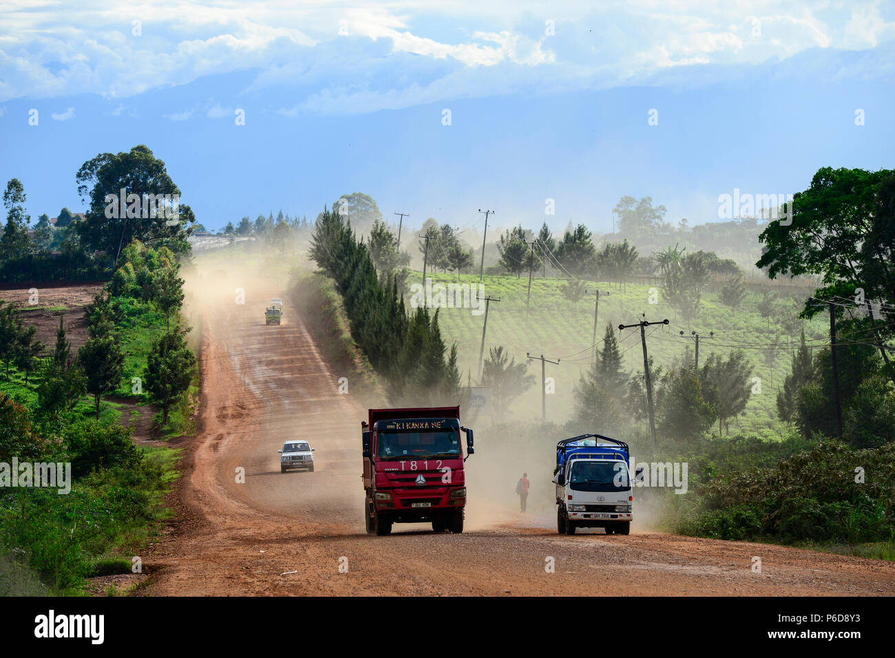 Dust tea hi-res stock photography and images - Alamy