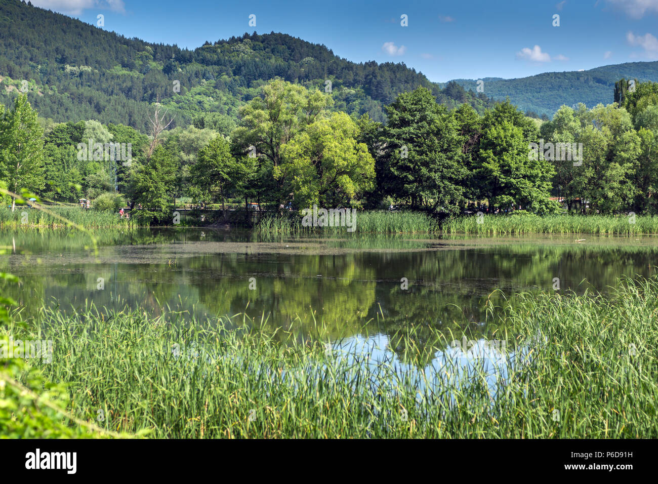 Amazing Summer Landscape of Pancharevo lake, Sofia city Region ...