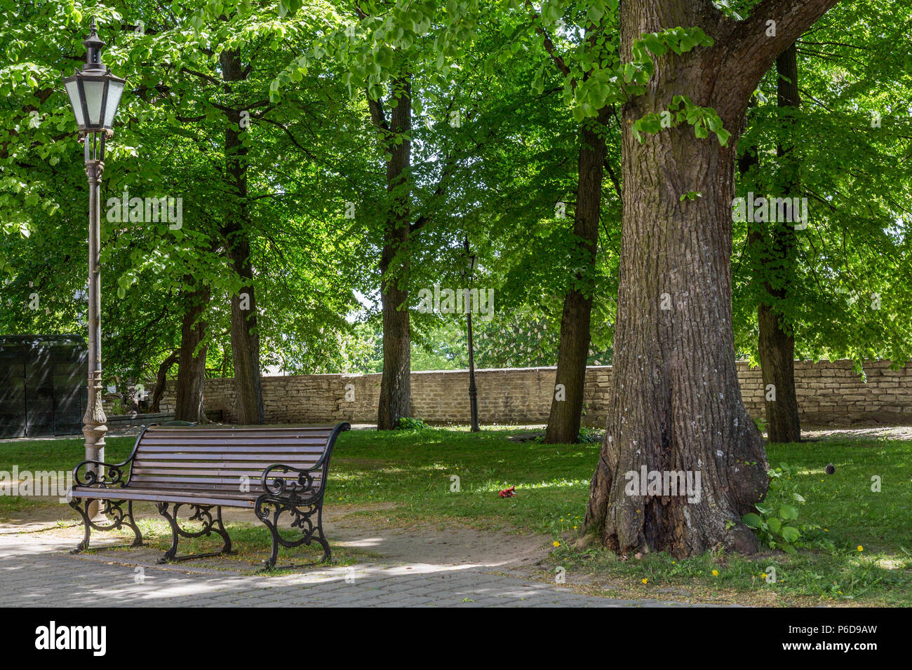 Stone bench trees architecture hi-res stock photography and images - Alamy
