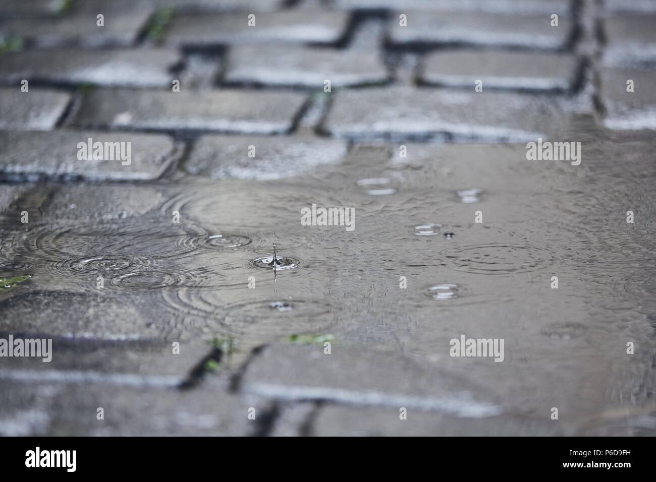Rain puddle street hi-res stock photography and images - Alamy