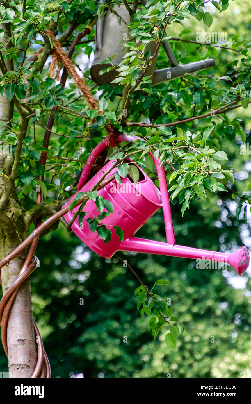Watering cans hanging in a tree Stock Photo - Alamy