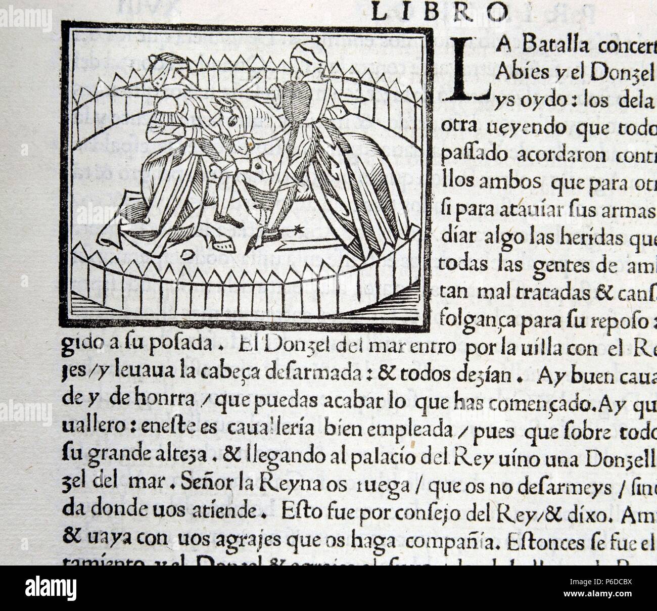 Gaula amadis de hi-res stock photography and images - Alamy