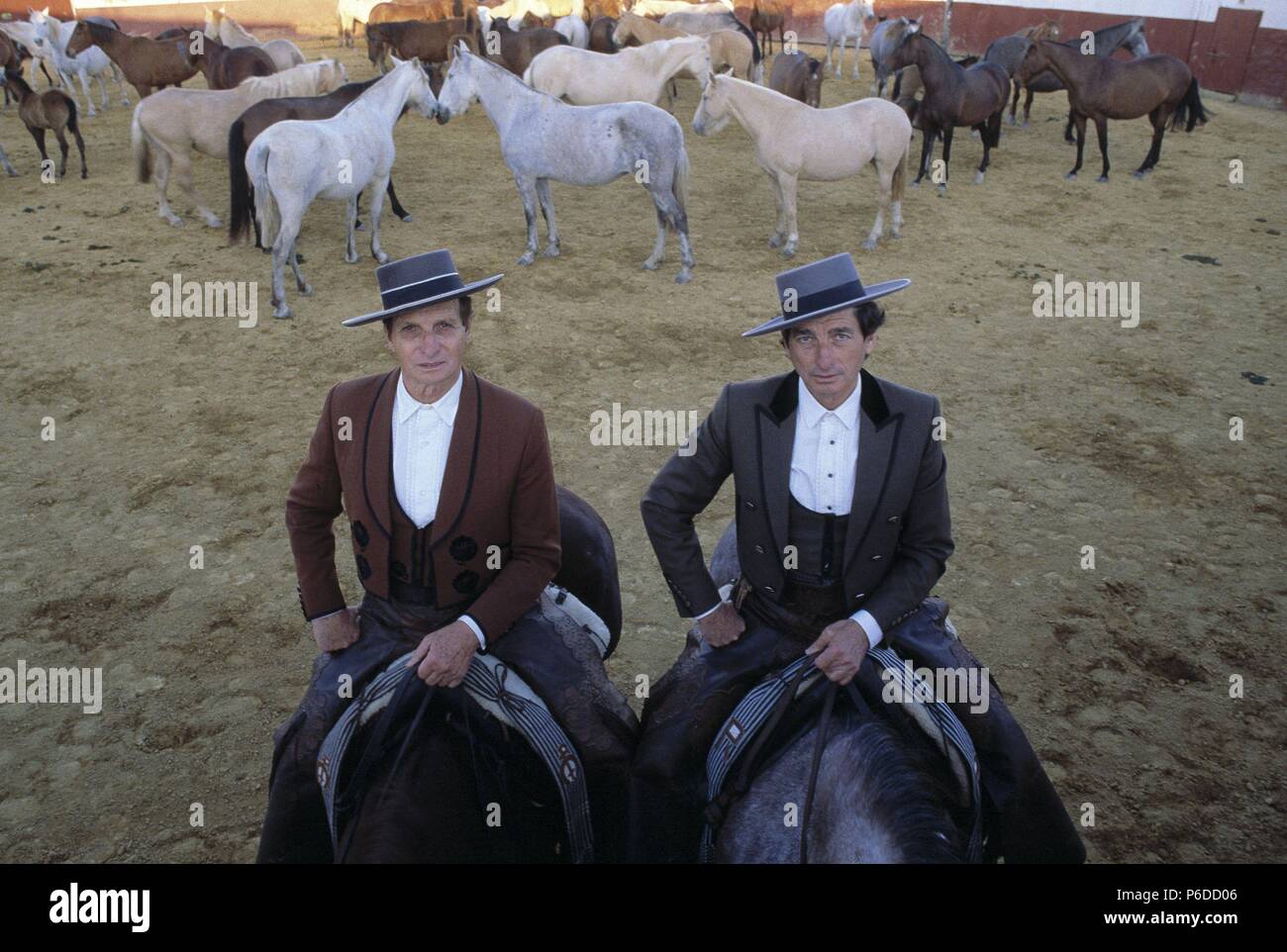 Rejoneadores hi-res stock photography and images - Alamy