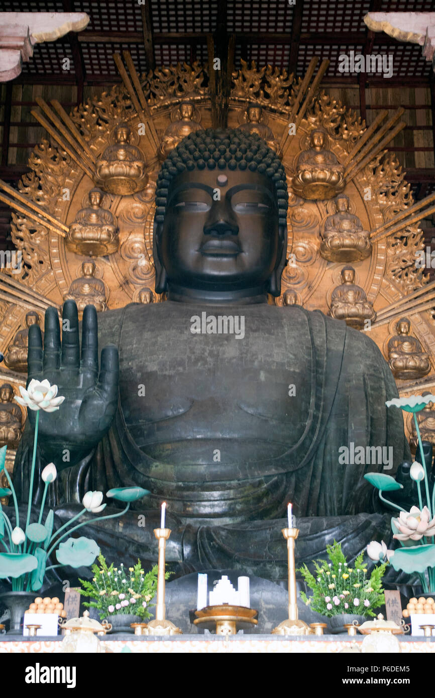 Unesco world heritage site Daibutsu (Great Buddha) inside the Daibutsu ...