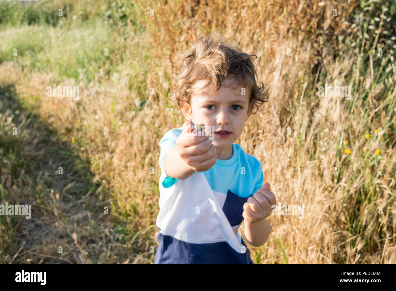 Snails walk hi-res stock photography and images - Alamy
