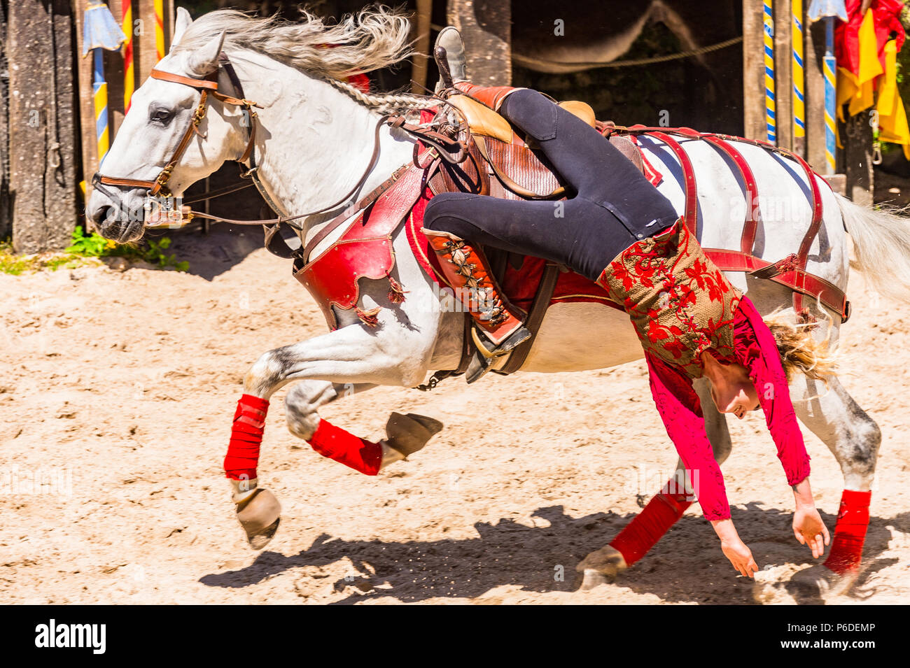 The Legend of the Knights medieval equestrian show by EQUESTRIO in ...