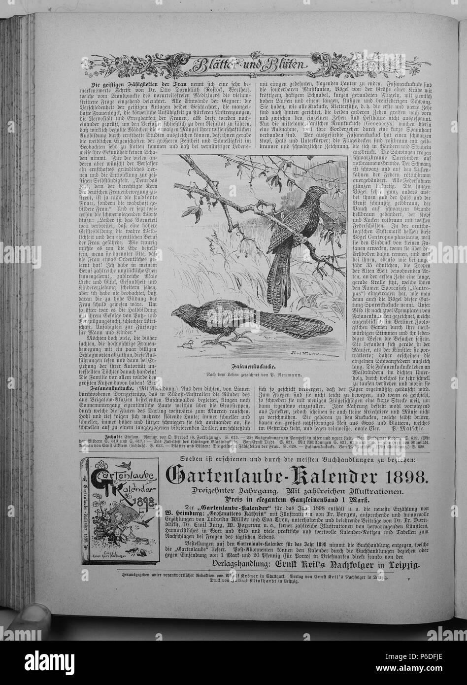 31 hi res hi-res stock photography and images - Alamy