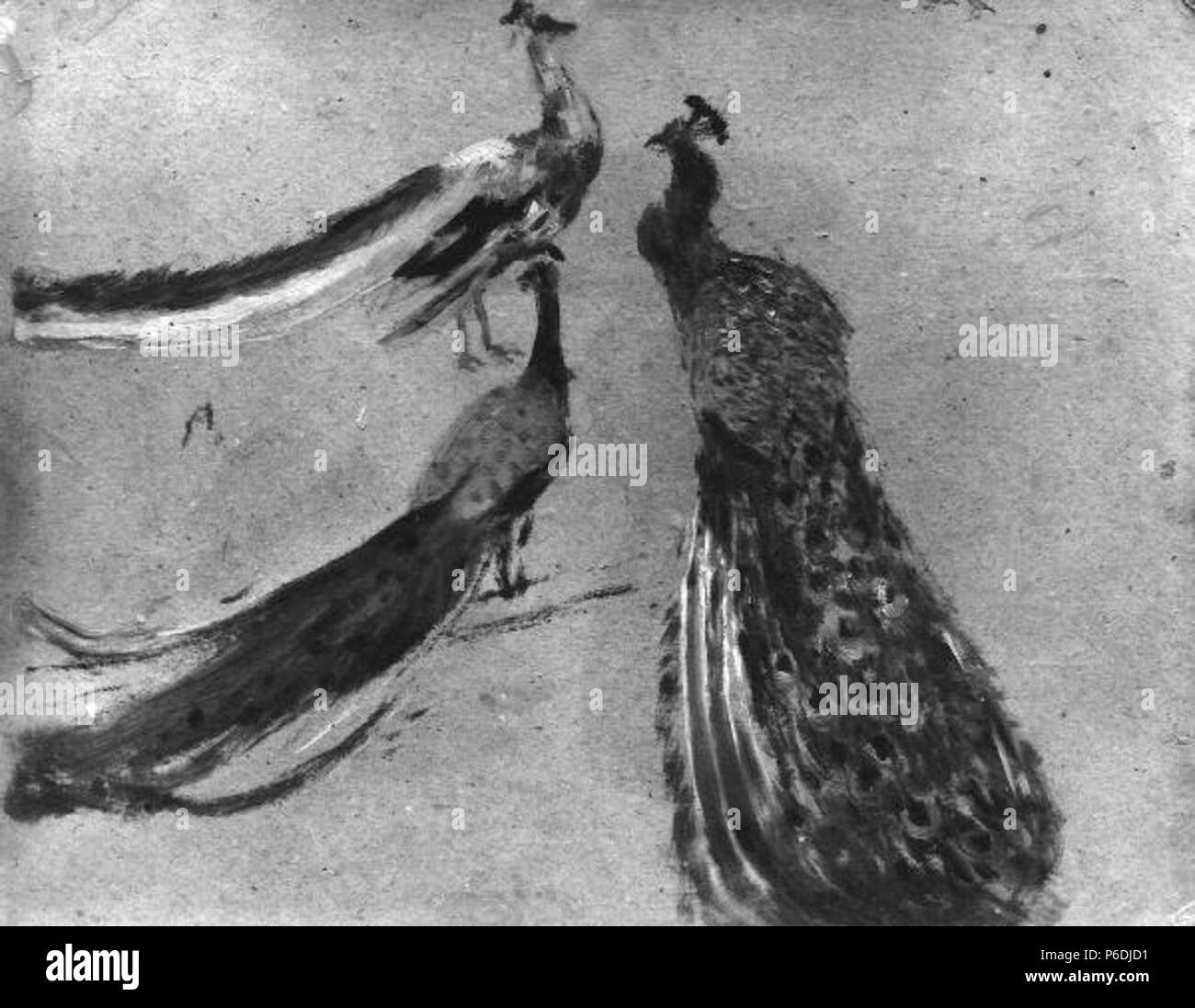 . eština: Ti pávi circa 1904 58 Karel Spillar 1871-1939 - Tri pavi ...