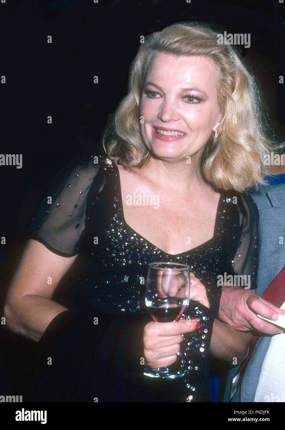 Gina Rowlands 1983 Photo By John Barrett/PHOTOlink.net / MediaPunch ...