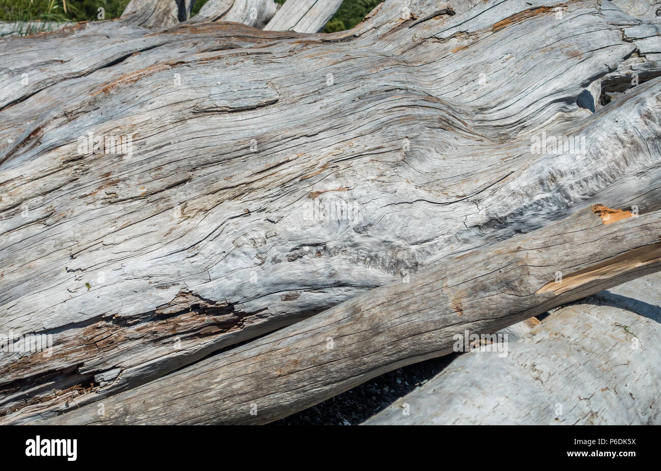 Deadwood for texture hi-res stock photography and images - Alamy