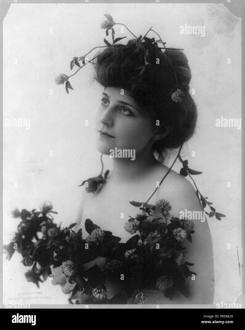 64 Miss Whitlock Stock Photo - Alamy