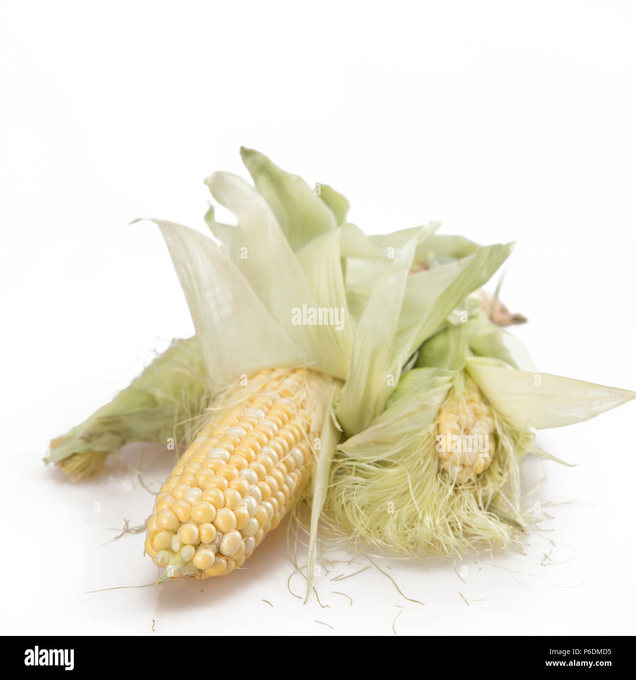 Ear of corn with cob exposed on white Stock Photo - Alamy