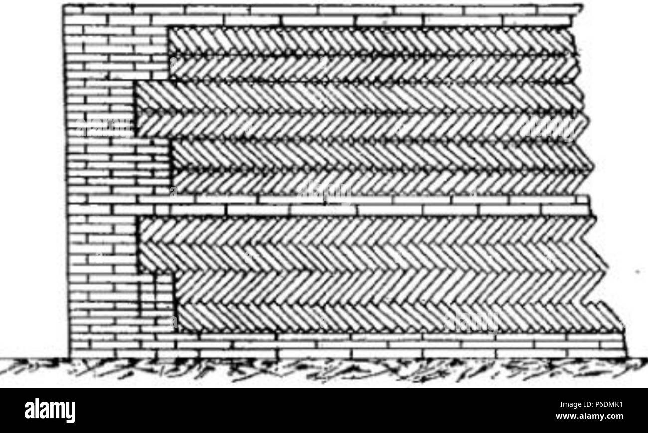 Opus spicatum hi-res stock photography and images - Alamy
