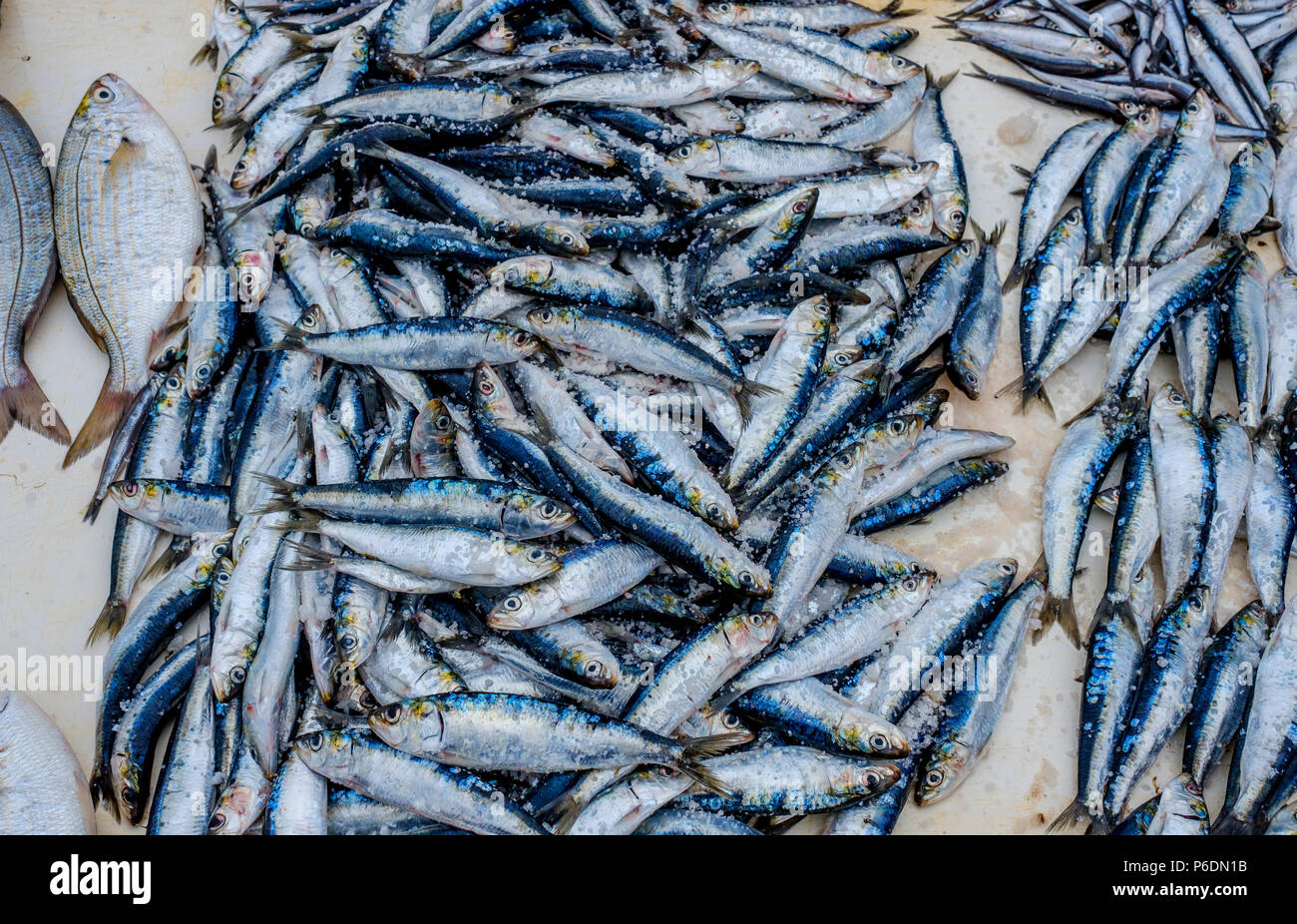 Fish market by the harbour in Essaouira, Morocco Stock Photo - Alamy