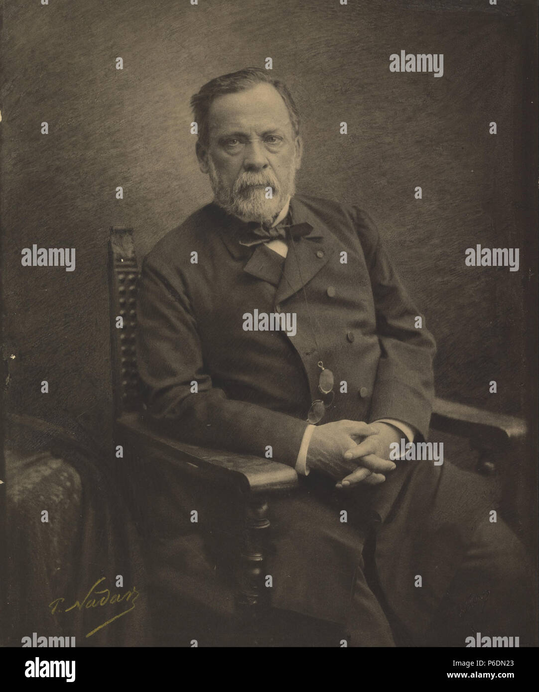 . [Louis Pasteur] 1886 66 Paul Nadar (French - (Louis Pasteur Stock ...