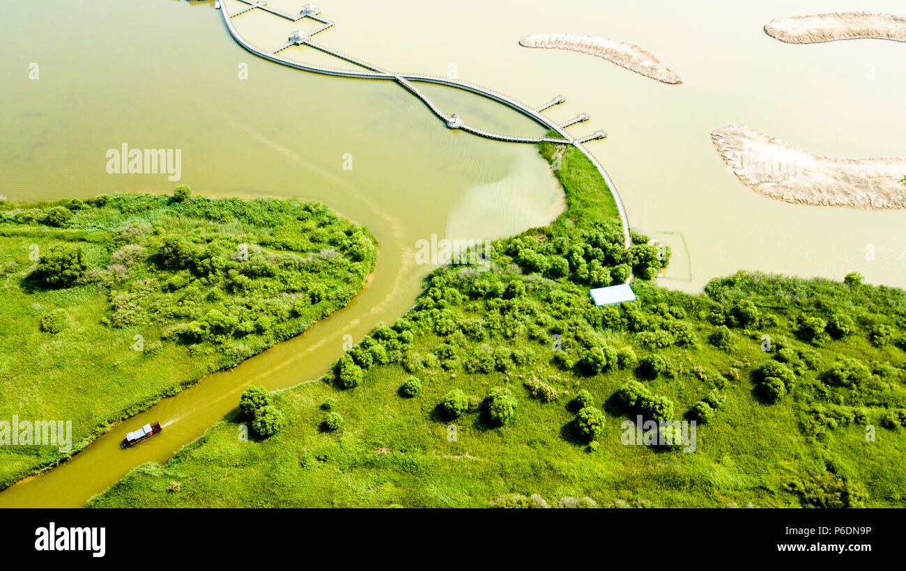 Yellow sea wetland china hi-res stock photography and images - Alamy