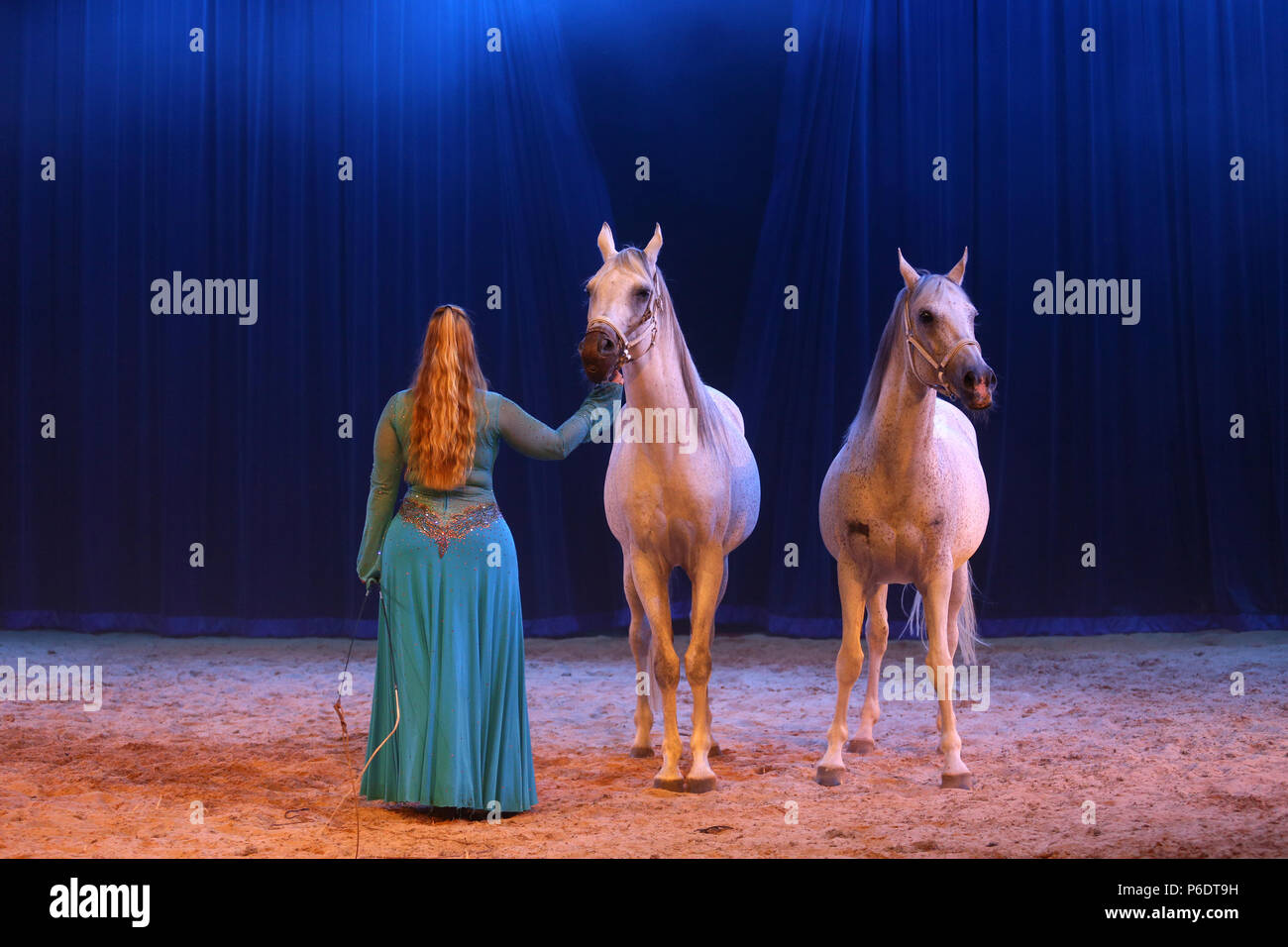 Dancing horse theatre show hi-res stock photography and images - Alamy