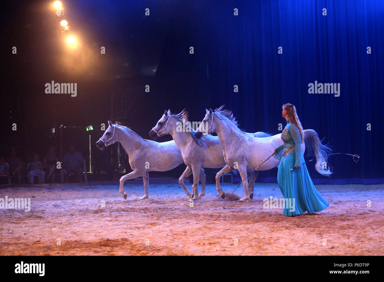 Dancing horse theatre show hi-res stock photography and images - Alamy