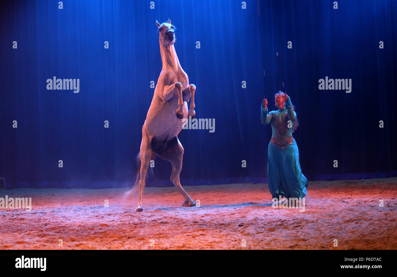 Dancing horse theatre show hi-res stock photography and images - Alamy