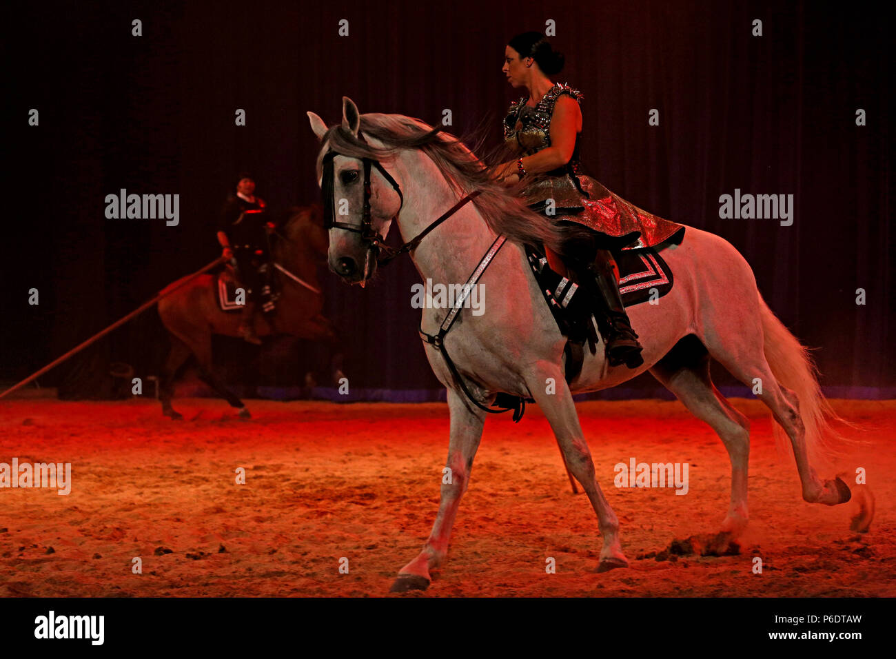 Dancing horse theatre show hi-res stock photography and images - Alamy