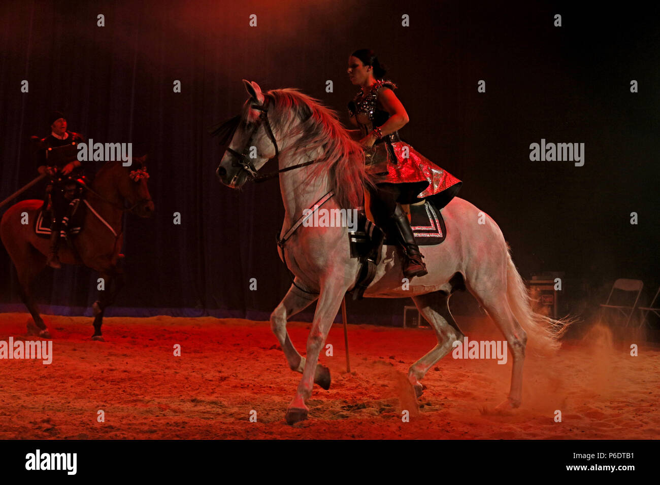 Dancing horse theatre show hi-res stock photography and images - Alamy