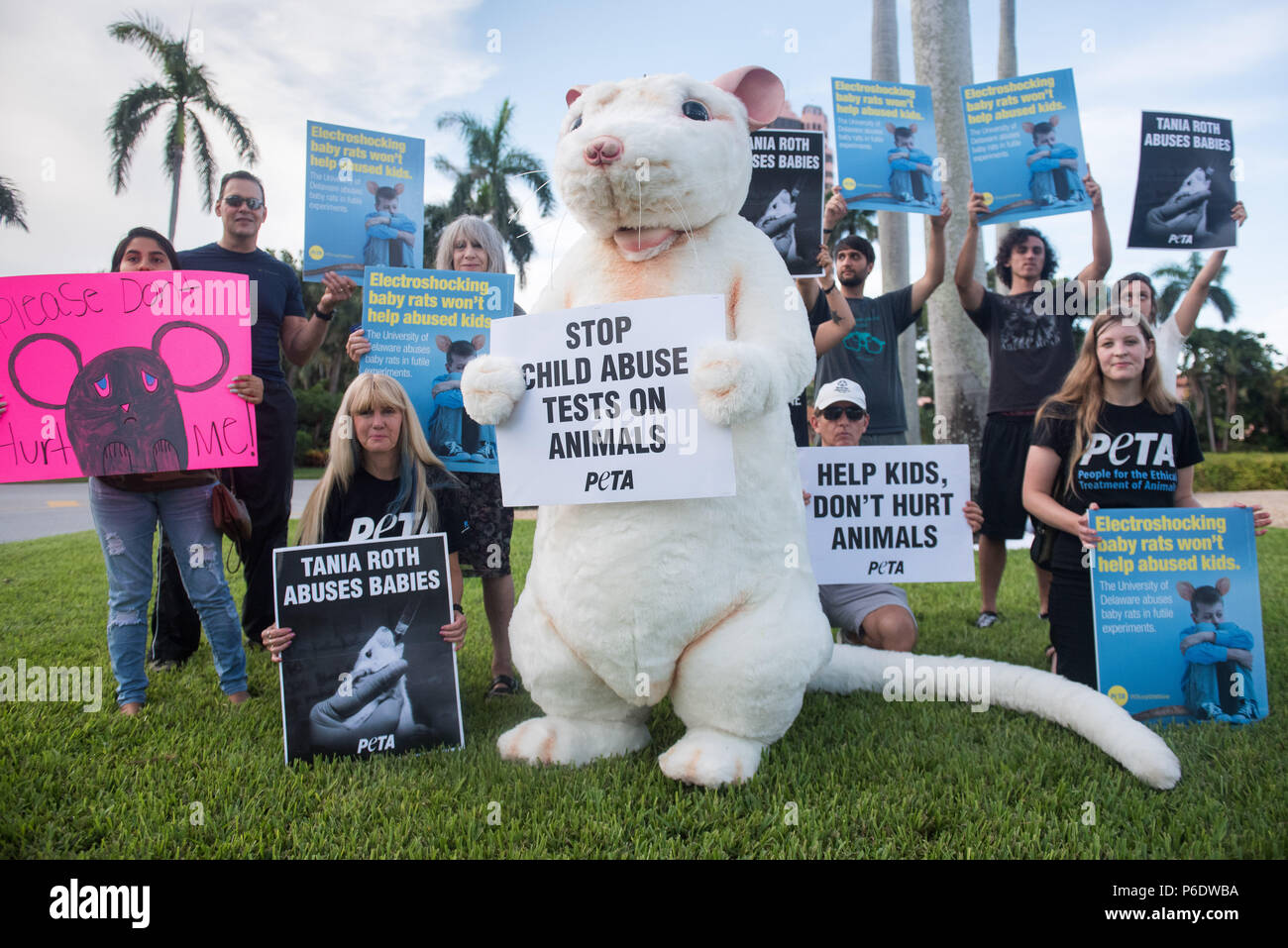 Peta protest animal experiments hi-res stock photography and images - Alamy