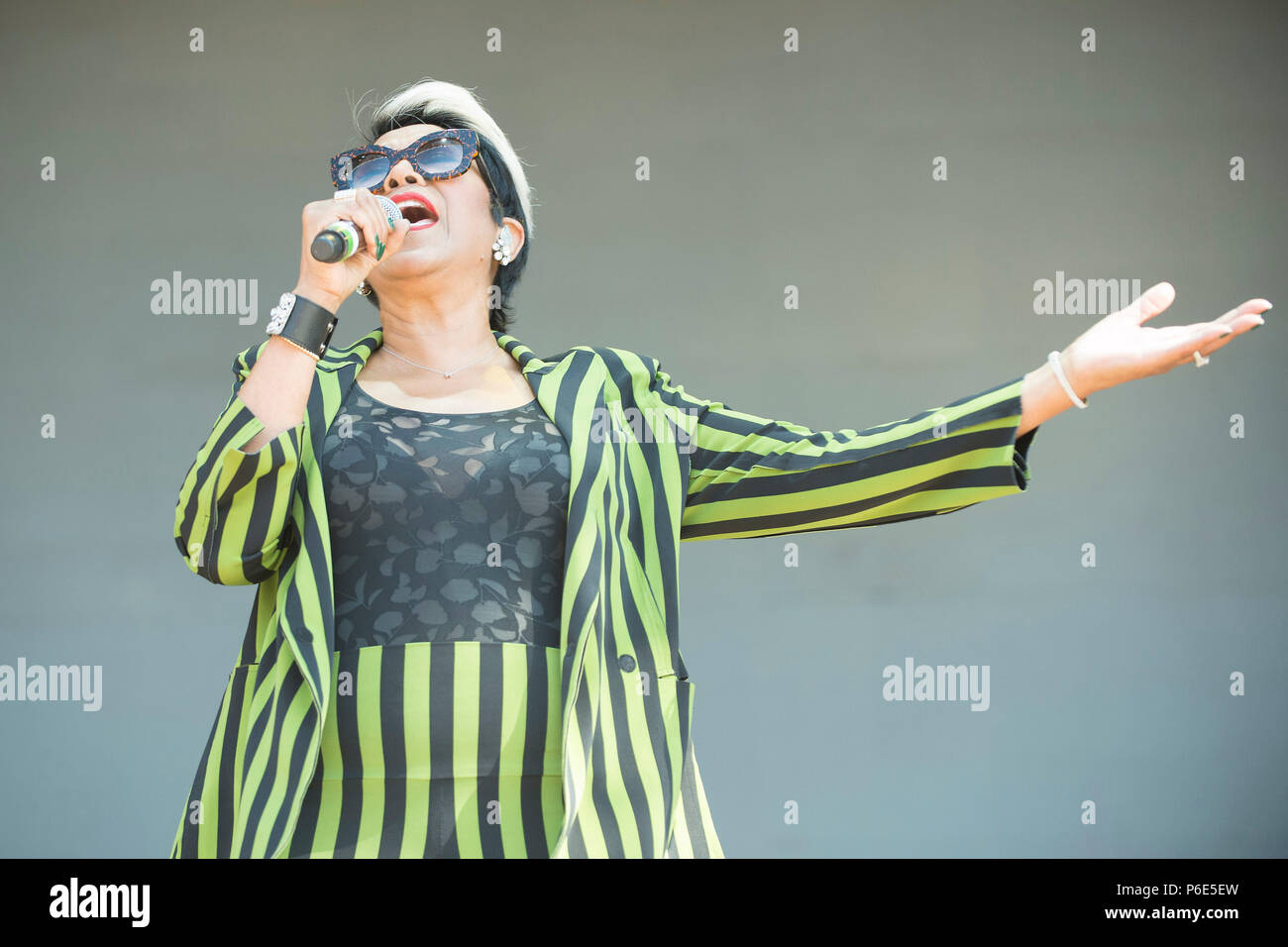 June pointer pointer sisters hi-res stock photography and images - Alamy