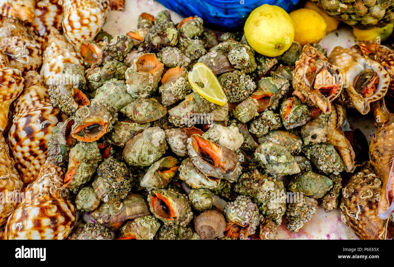 Fish market by the harbour in Essaouira, Morocco Stock Photo - Alamy