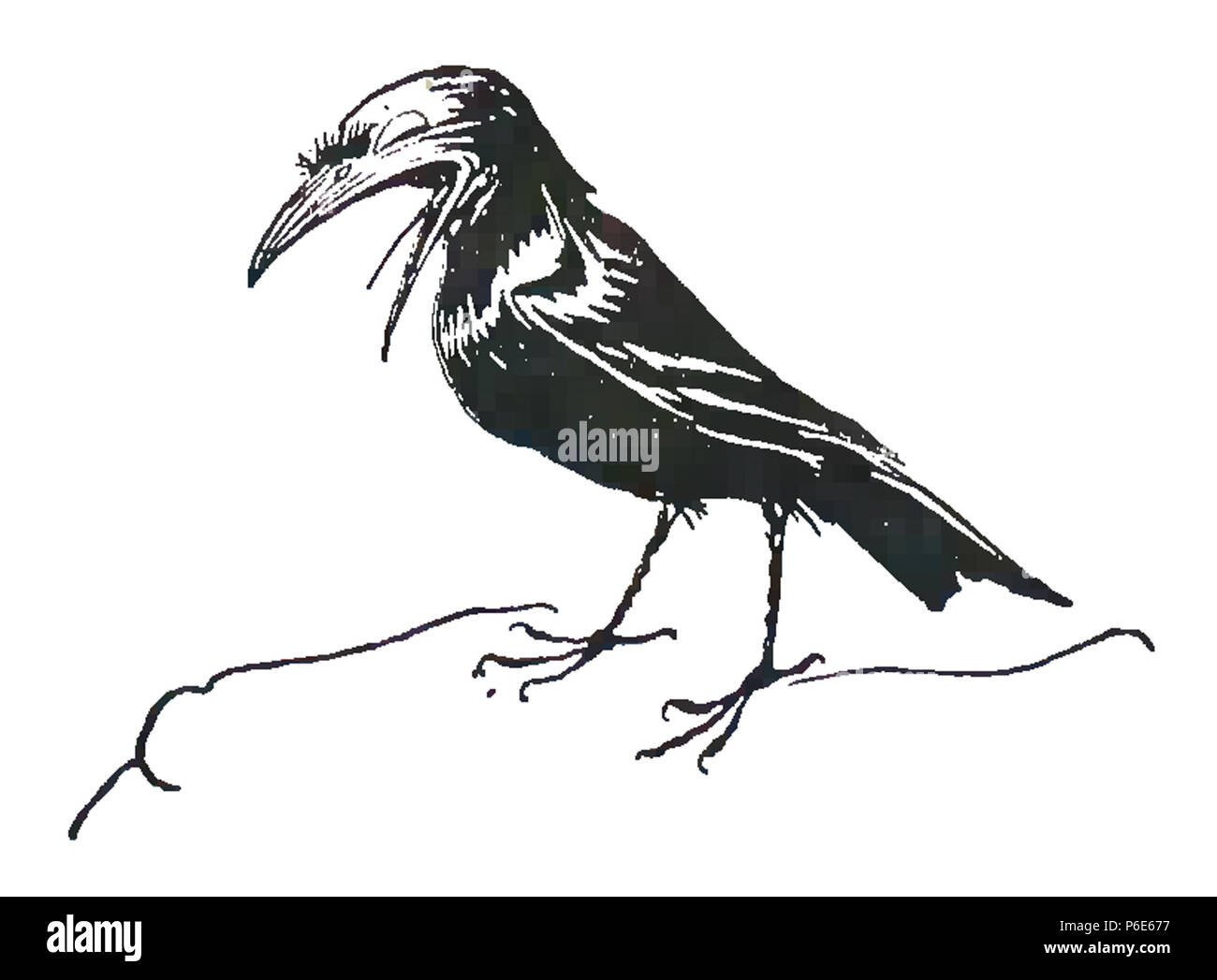 Piotrus hi-res stock photography and images - Alamy