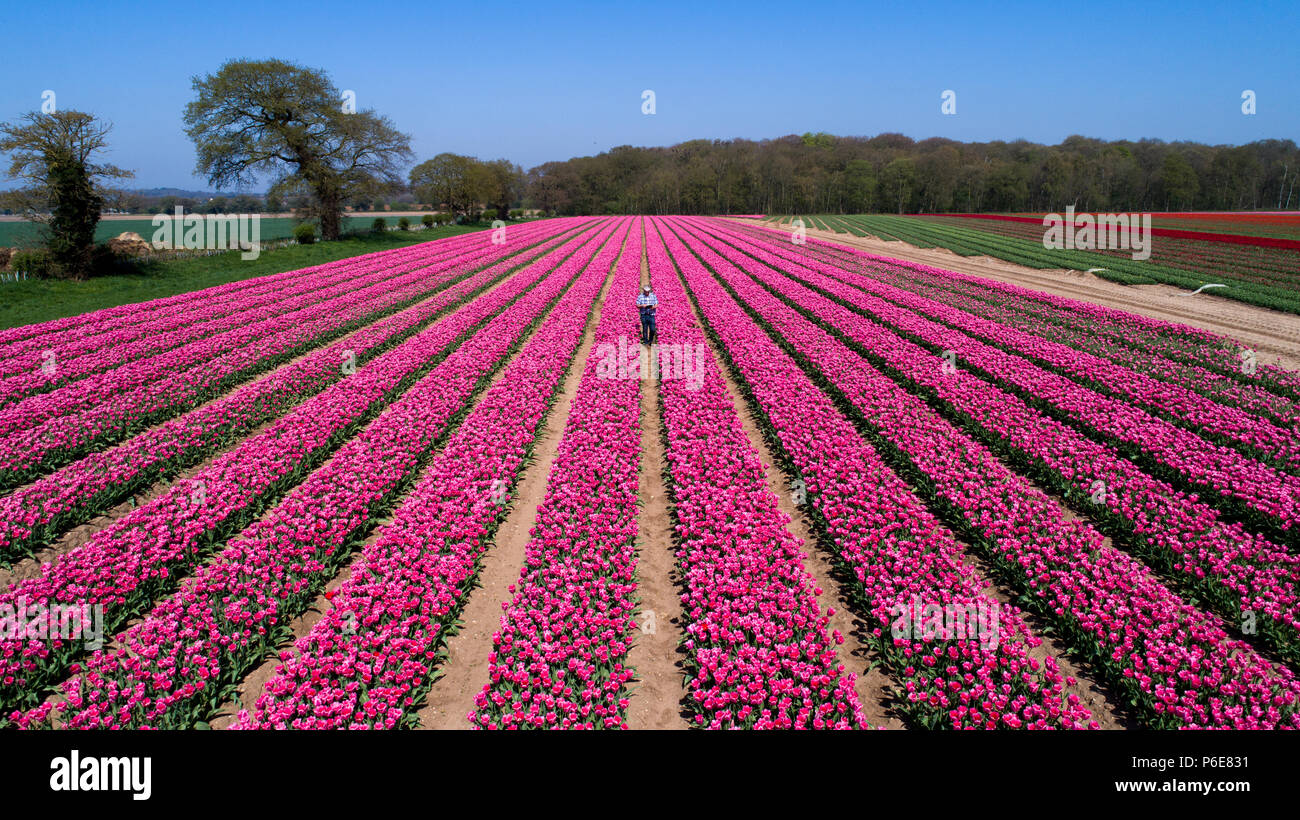 Mark eves belmont hi-res stock photography and images - Alamy
