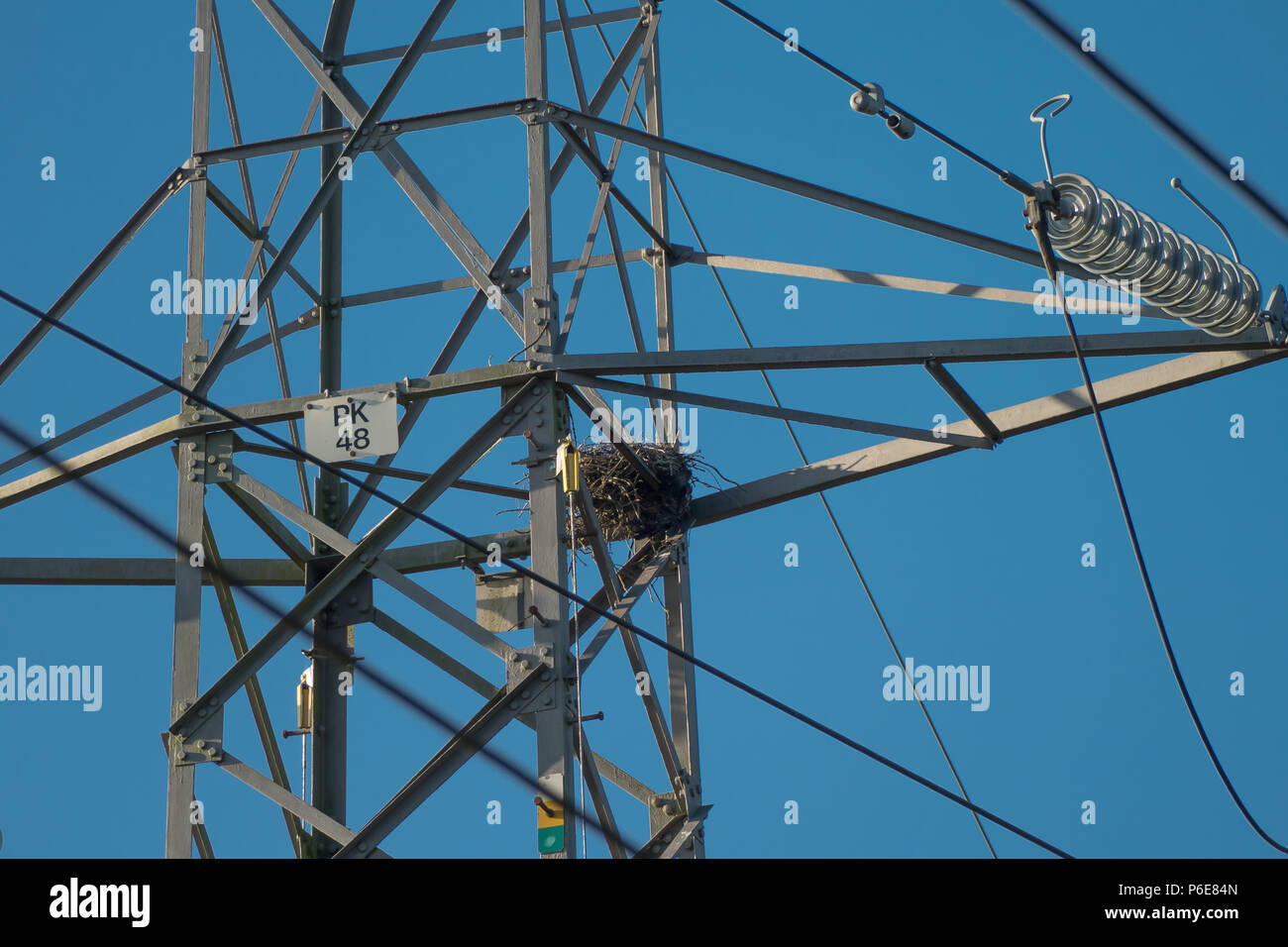 Birds At Pylon High Resolution Stock Photography and Images - Alamy