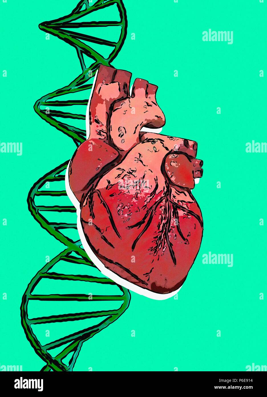 Dna strand and human heart hi-res stock photography and images - Alamy