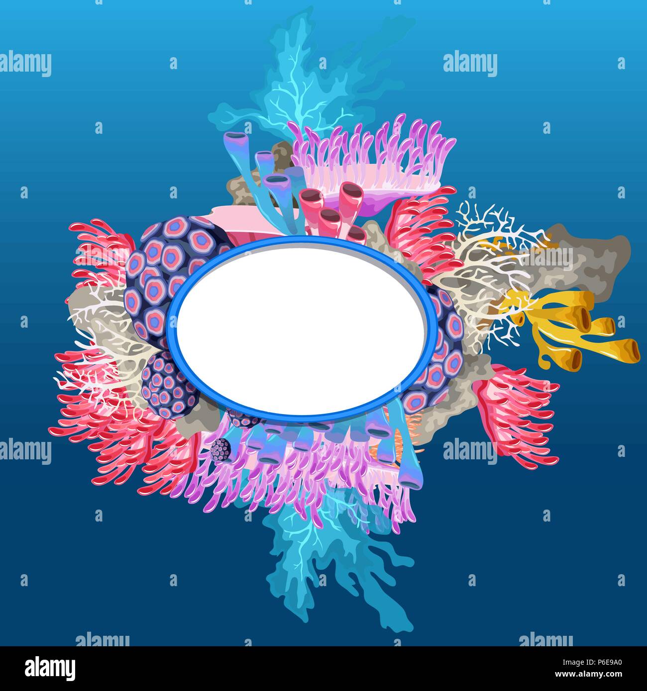 Oval frame made of corals with space for your text or image. Vector ...