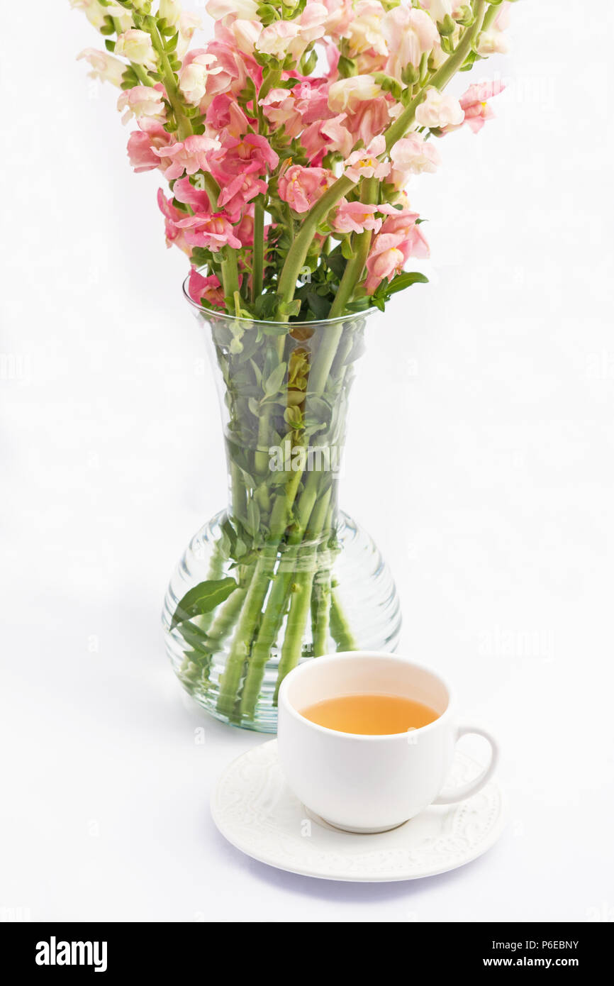 Bunch of snapdragon flowers in a vase and a cup of tea on white ...