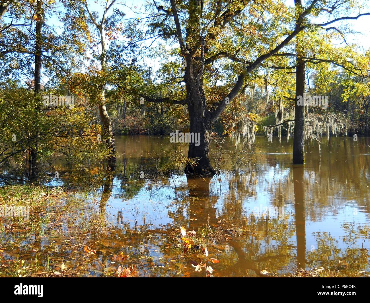 Kinston north carolina hi-res stock photography and images - Alamy
