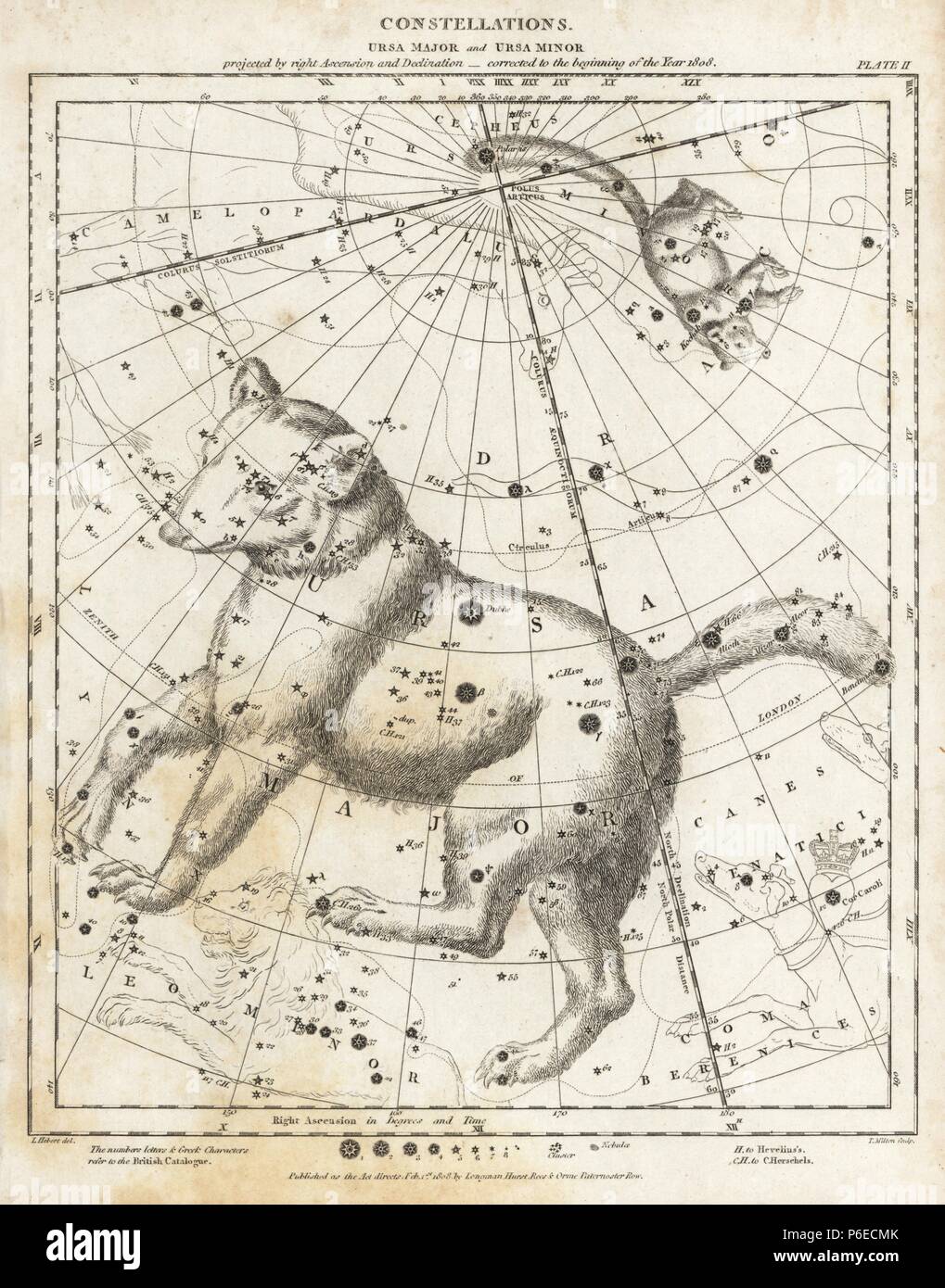 Ursa Major Constellation Drawing