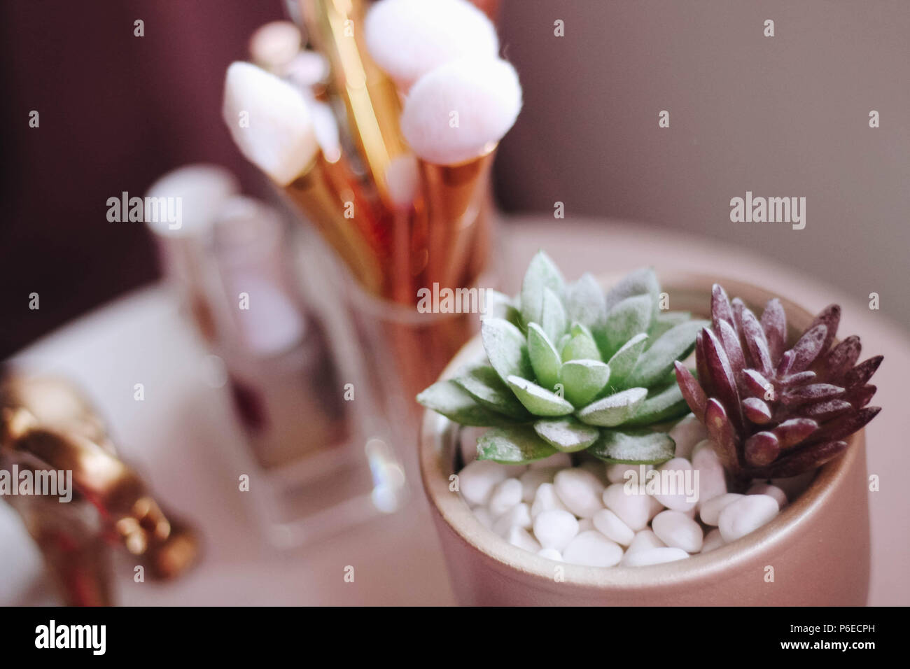 Succu hi-res stock photography and images - Alamy