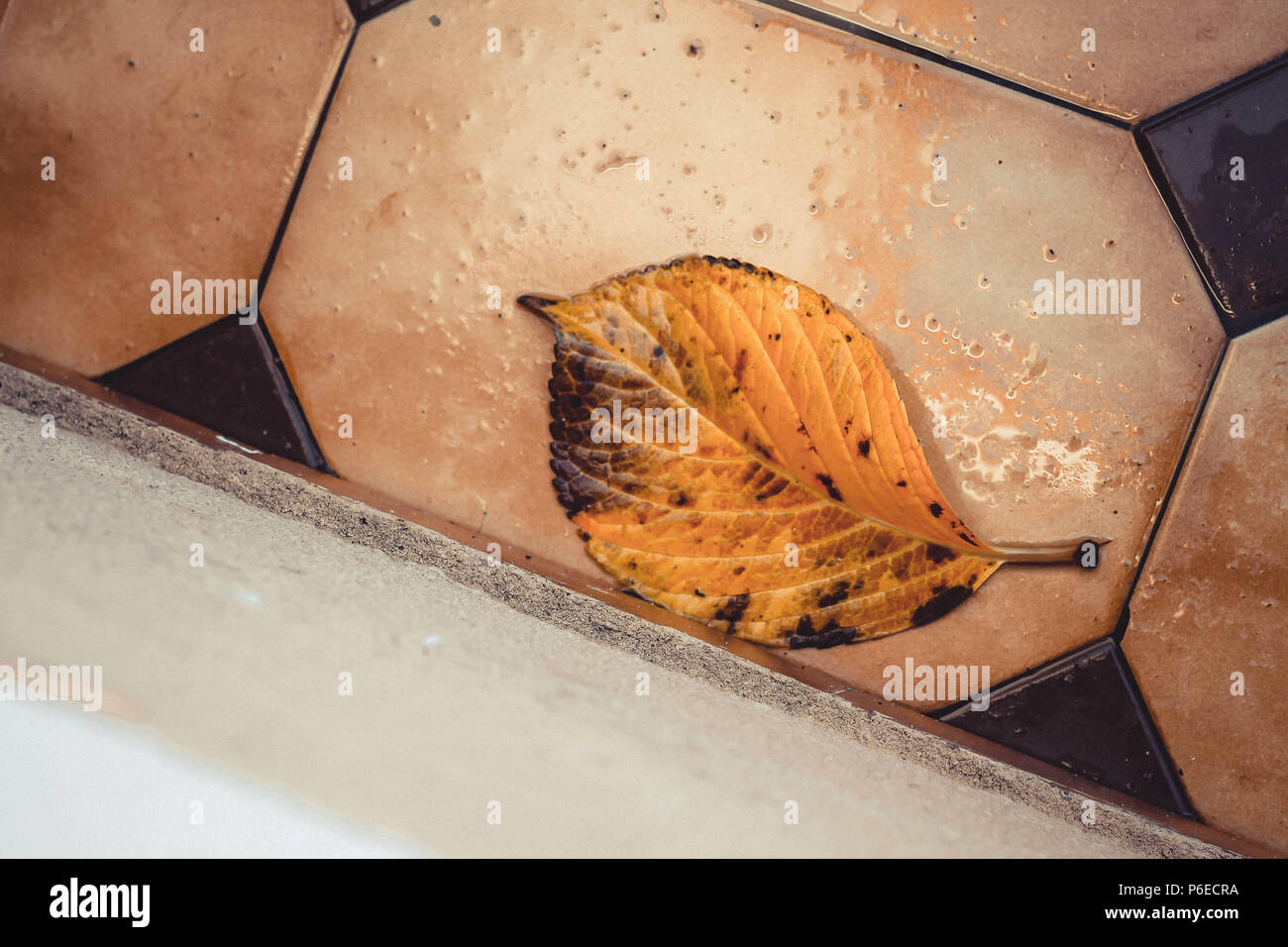 Ground colors hi-res stock photography and images - Alamy