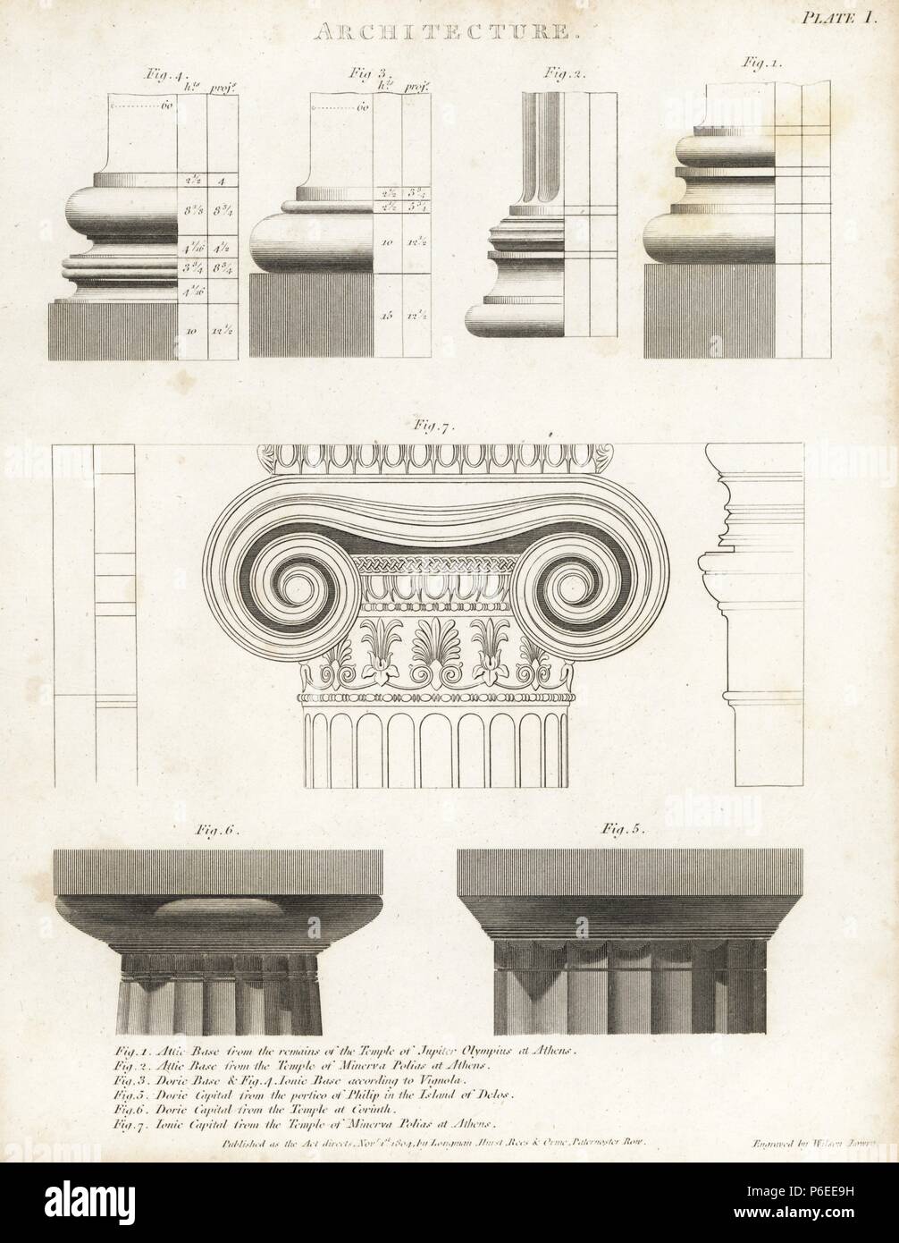 Attic, Doric and Ionic features from Greek architecture. Attic bases ...
