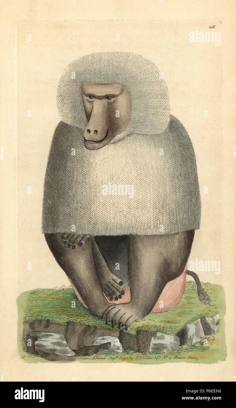 Captain simian hi-res stock photography and images - Alamy