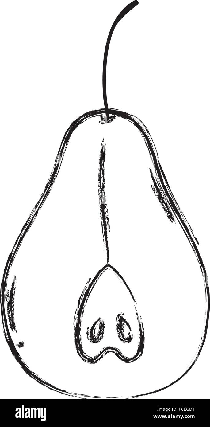 grunge delicious slice pear organic fruit vector illustration Stock ...