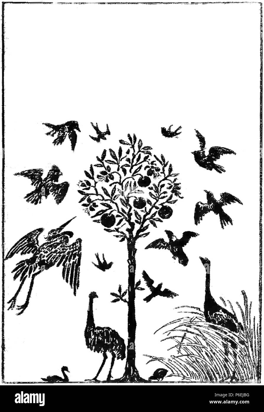 Australian first nations identity hi-res stock photography and images ...