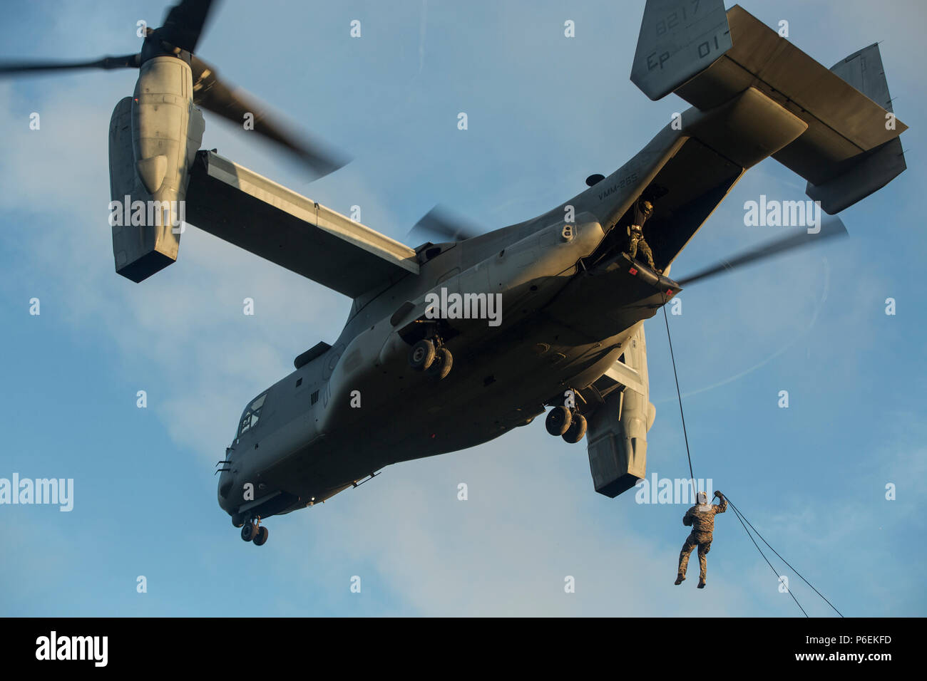 A Marine with Expeditionary Operations Training Group, III Marine ...