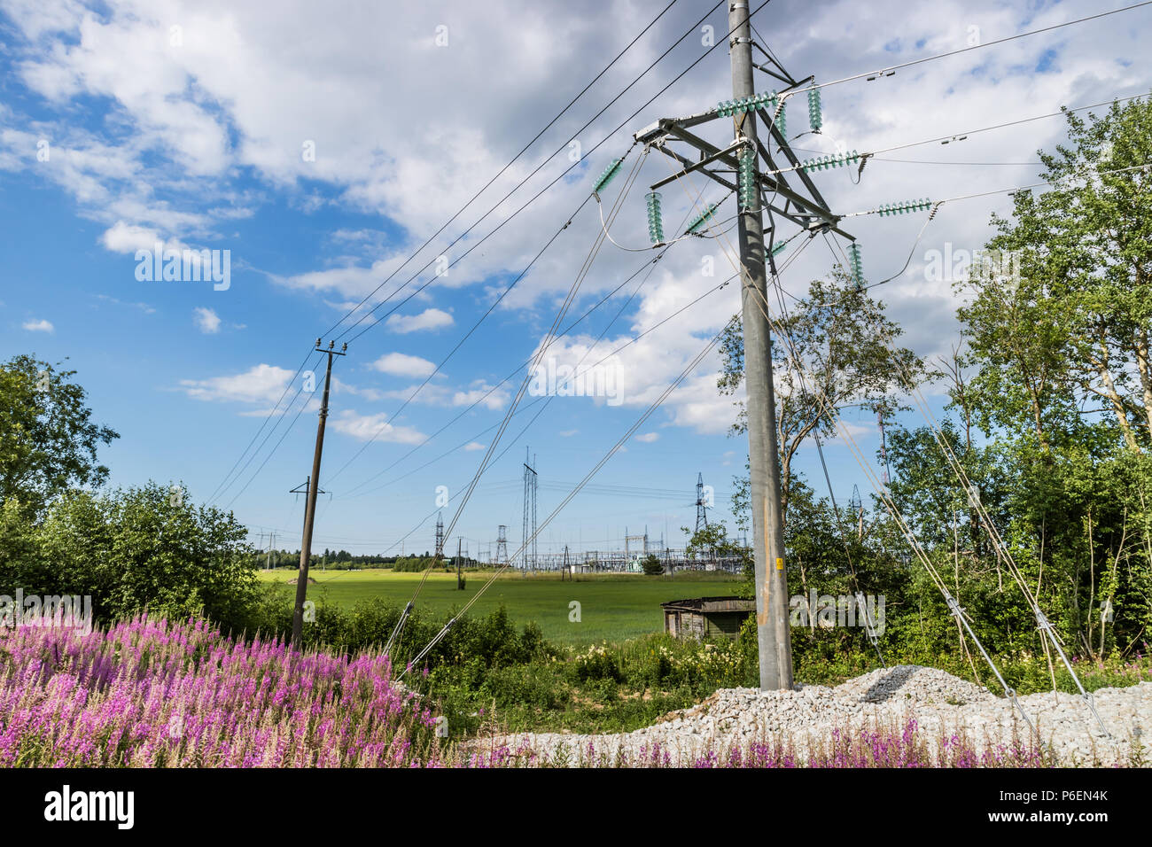 Power line towers and wires in greenery. Sunny day Stock Photo - Alamy