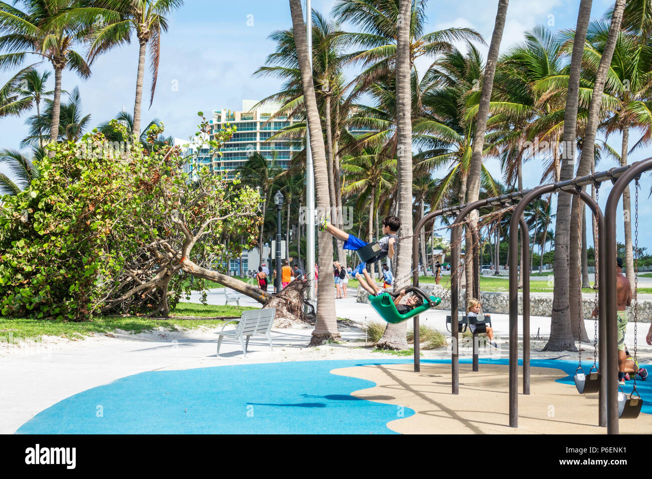 Miami Beach Florida,Lummus Park,Hurricane Irma wind storm damage ...