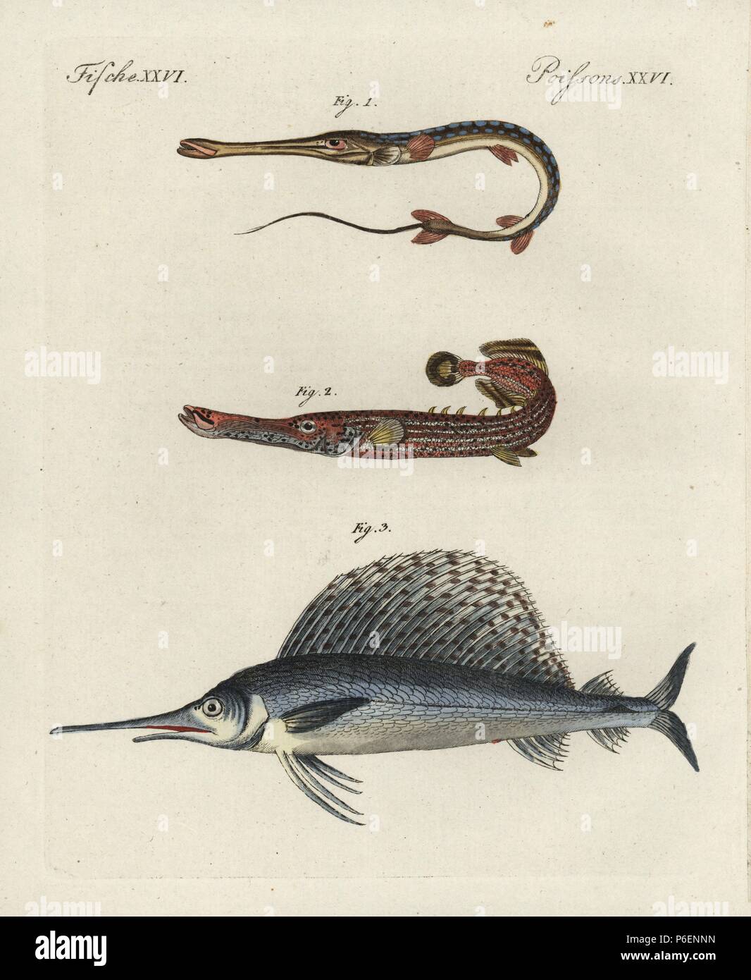 Chinese swordfish hi-res stock photography and images - Alamy