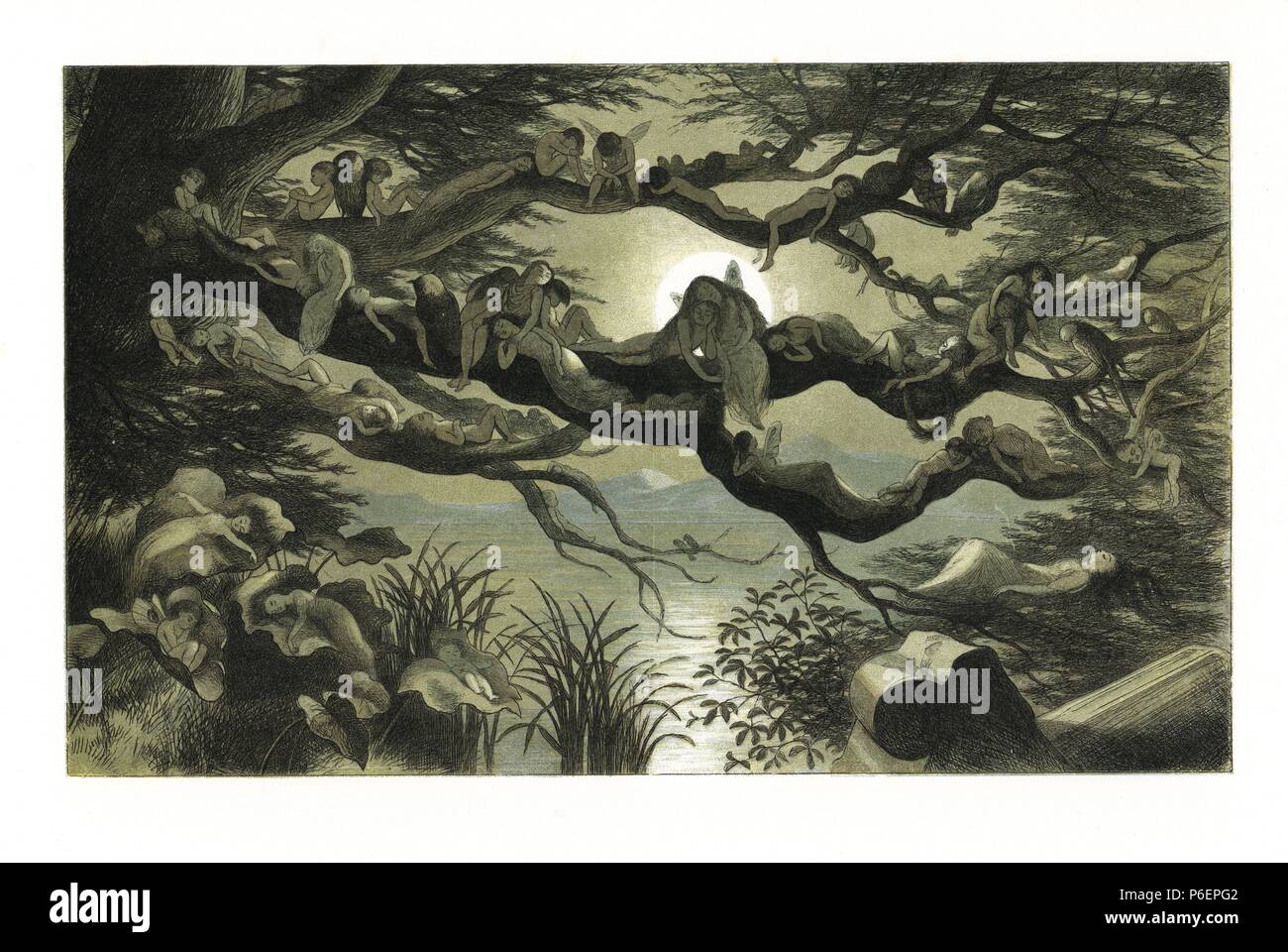 Fairies in the moonlight hi-res stock photography and images - Alamy