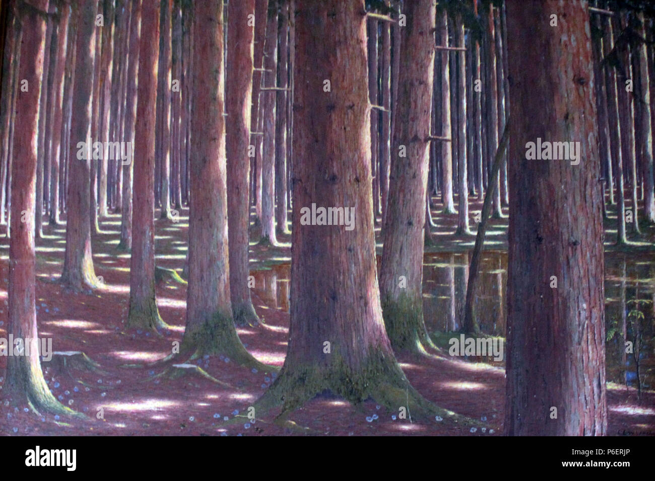 . English: Spruce forest Deutsch: Fichtenwald : 1920 2 1920 Lambrecht ...