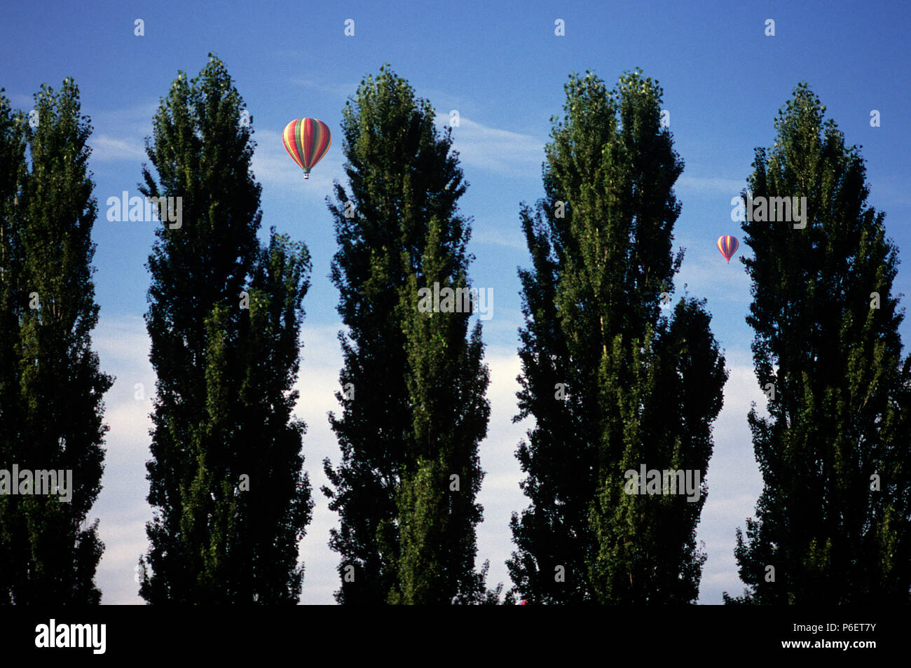 Balloons in between trees hi-res stock photography and images - Alamy