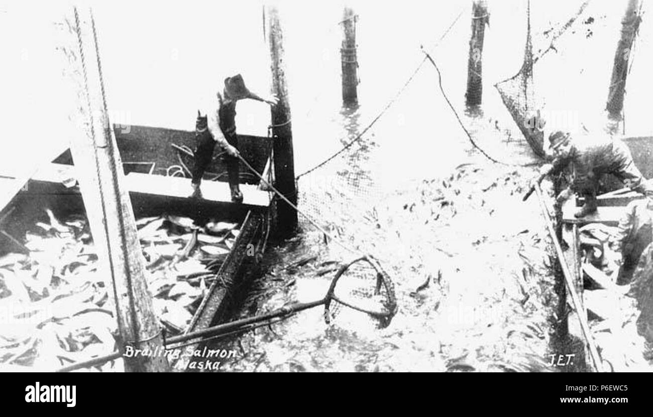 Salmon traps hi-res stock photography and images - Alamy